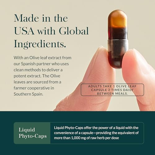 natural immune support olive leaf
