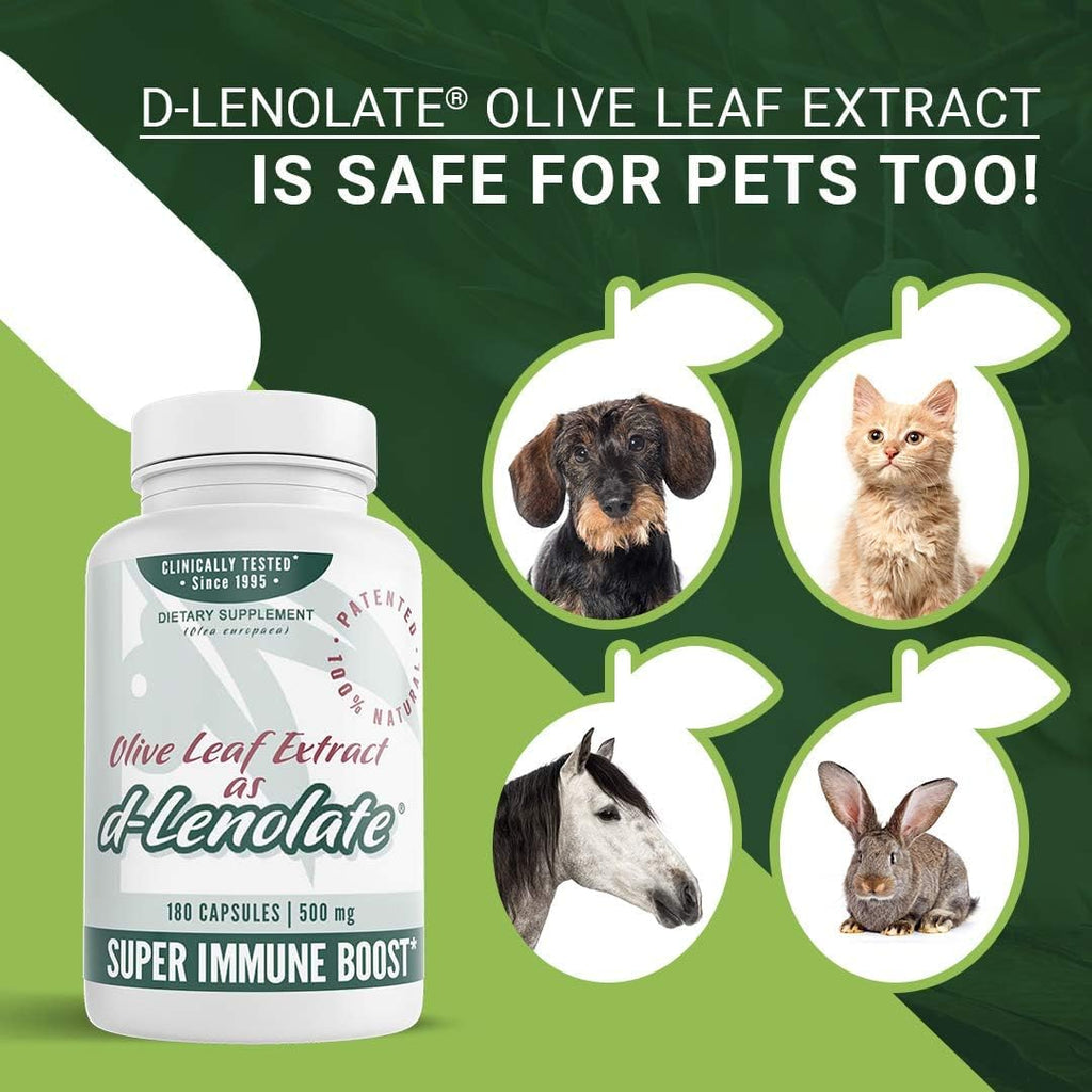 natural immune support olive leaf