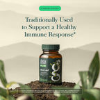 natural immune support olive leaf