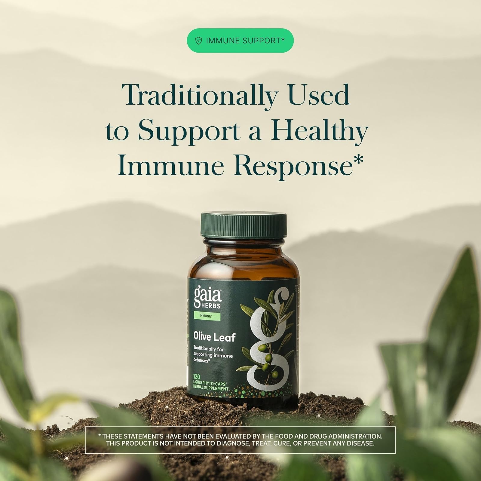 natural immune support olive leaf