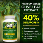 natural immune support olive leaf