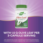 natural immune support olive leaf