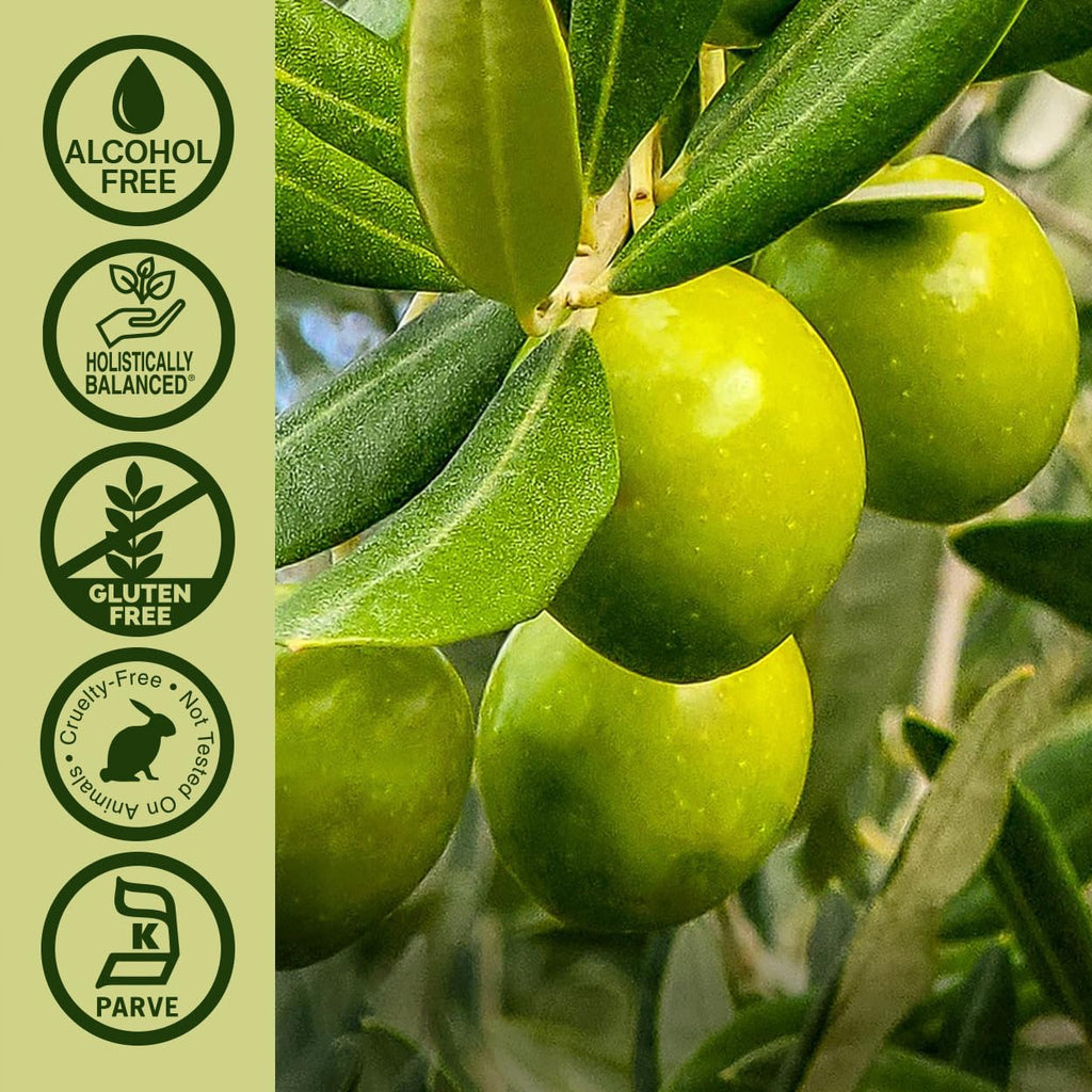 natural immune support olive leaf