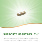 natural immune support olive leaf