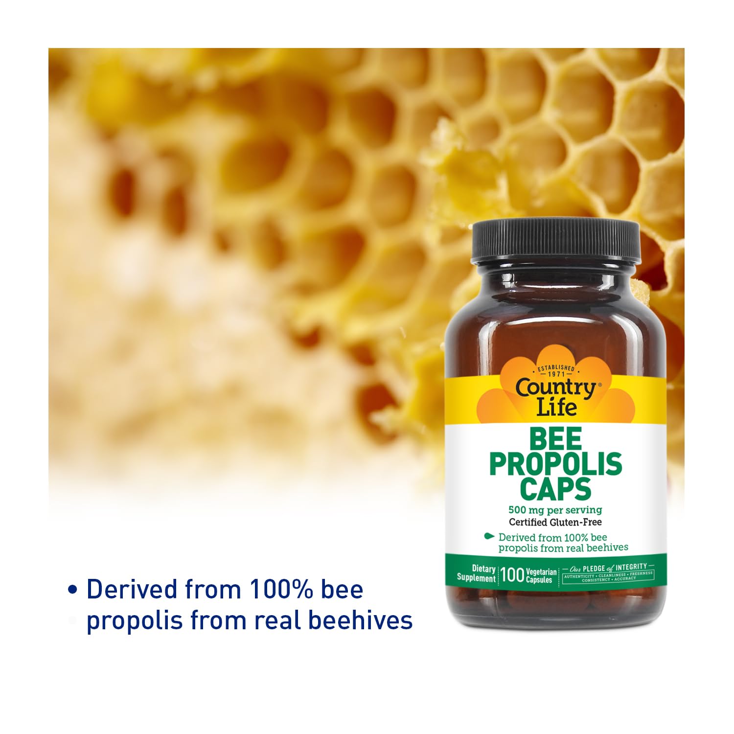 natural immune support propolis