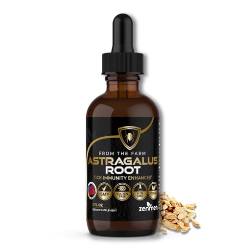 natural immune support supplement