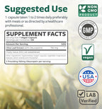 natural immune support supplement