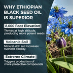 natural immune support supplement