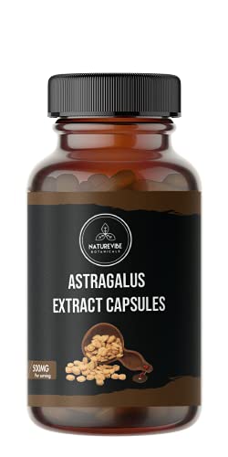 natural immune support supplement