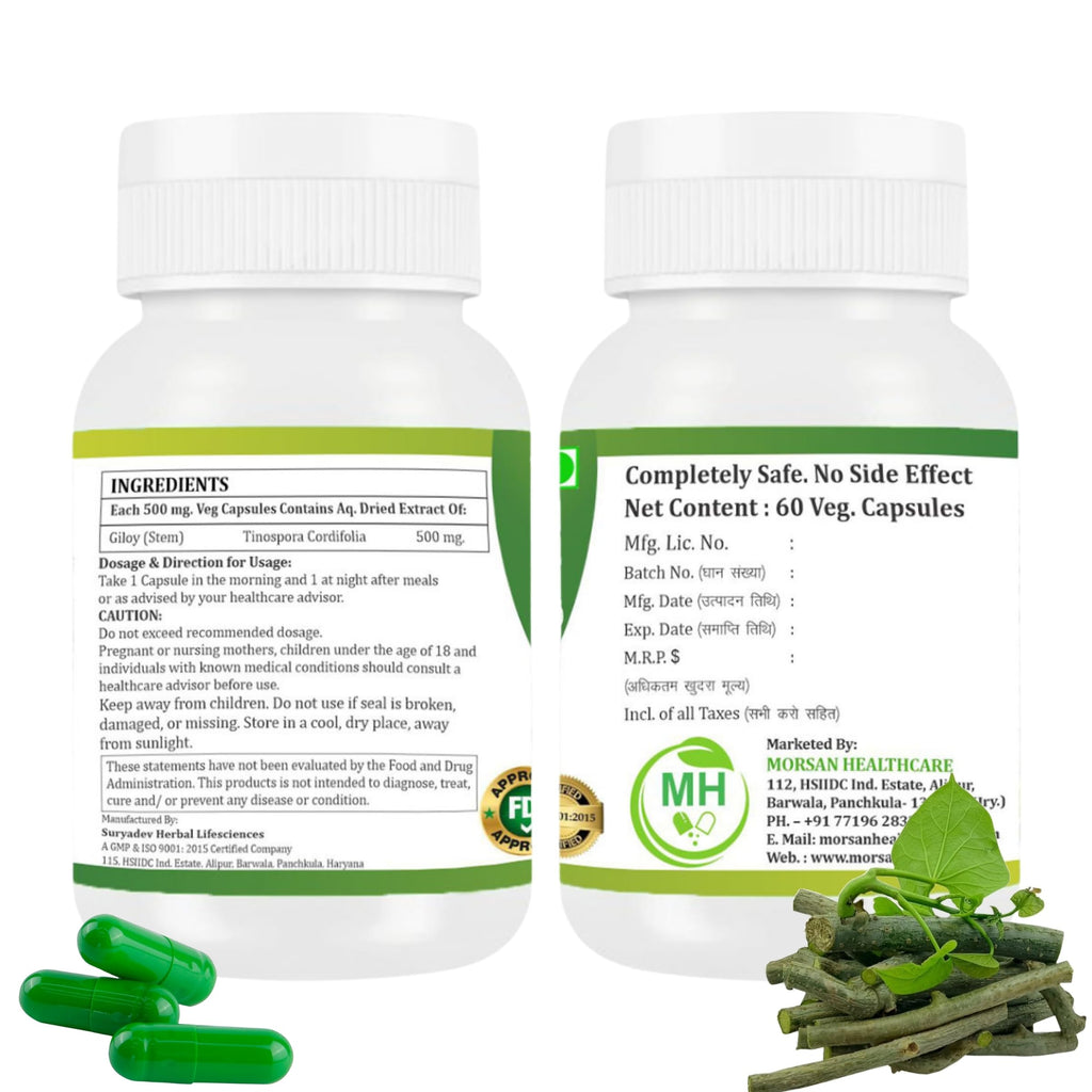 natural immune support supplements