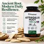 natural immune support with astragalus