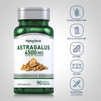 natural immune support with astragalus