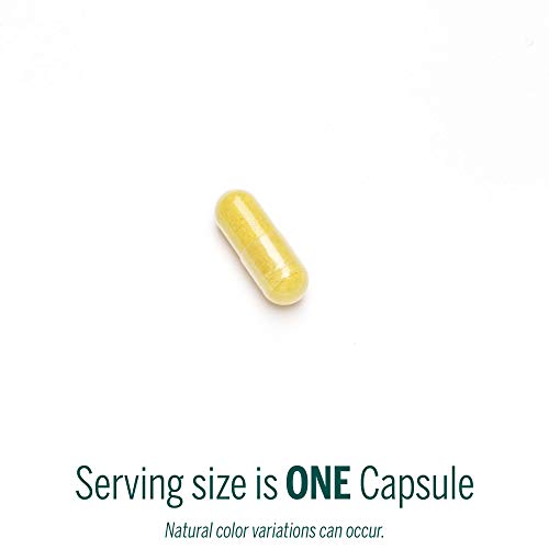 natural immune support with Berberis Formula