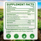 Natural immune support with black seed oil