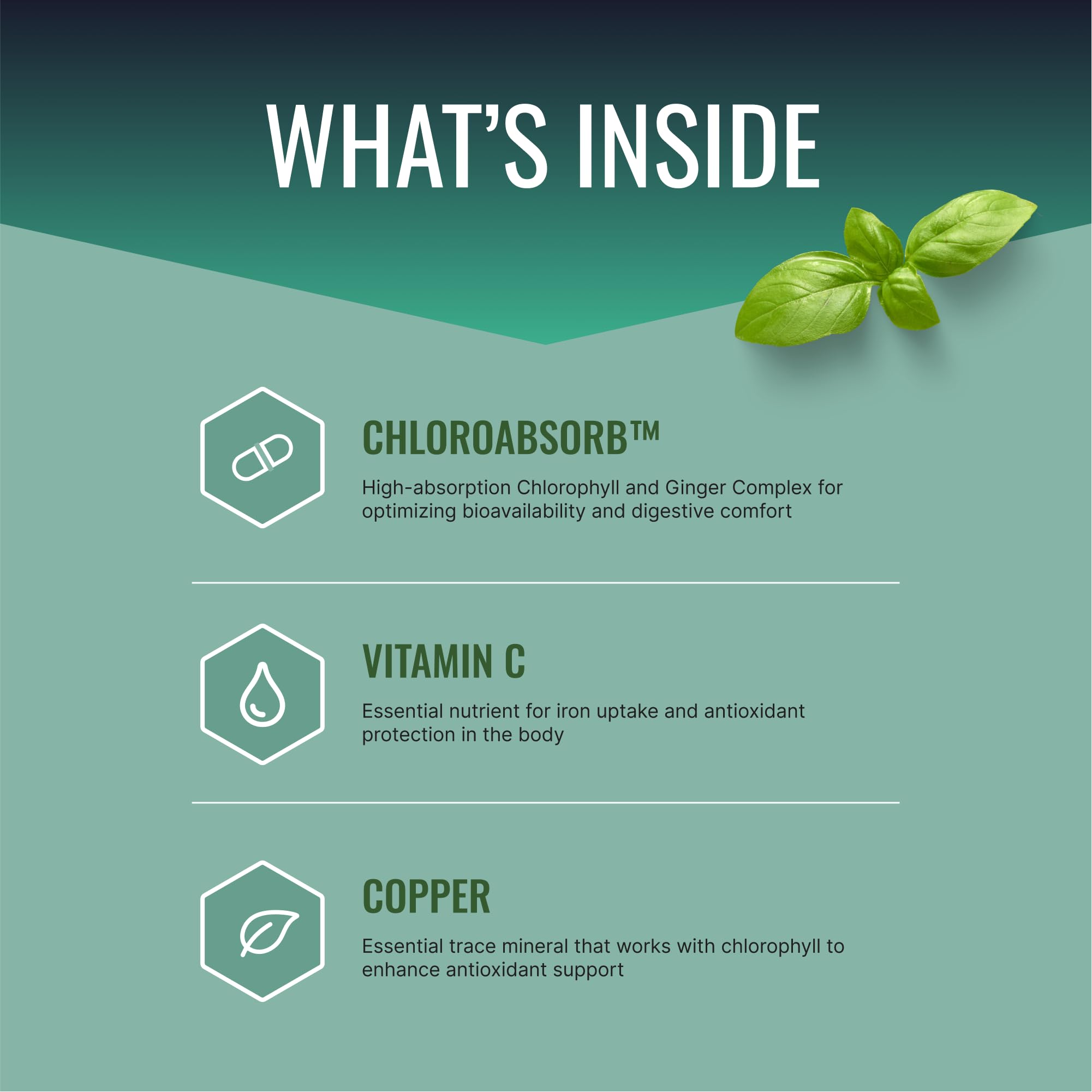 natural immune support with chlorophyll