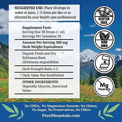 natural immune support with echinacea