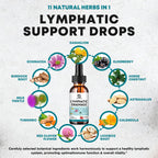 Natural immune support with Echinacea