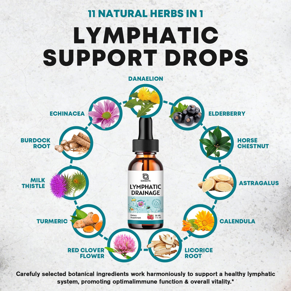 Natural immune support with Echinacea