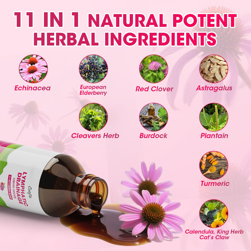 natural immune support with echinacea