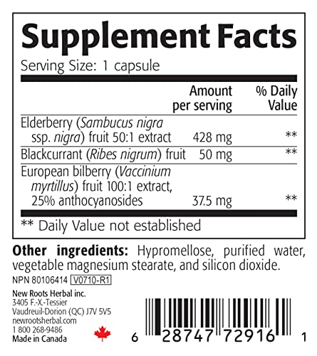 natural immune support with elderberry extract
