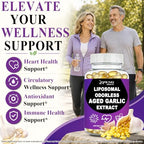 Natural immune support with garlic