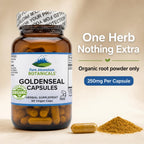 Natural immune support with Goldenseal