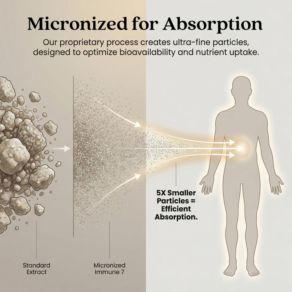 natural immune support with mushrooms