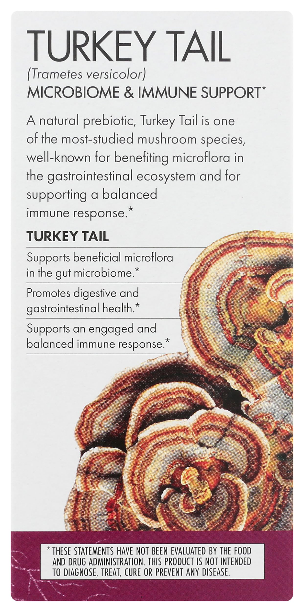Natural immune support with mushrooms