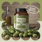 Natural immune support with olive leaf