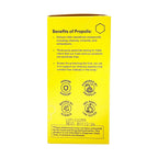 Natural immune support with propolis