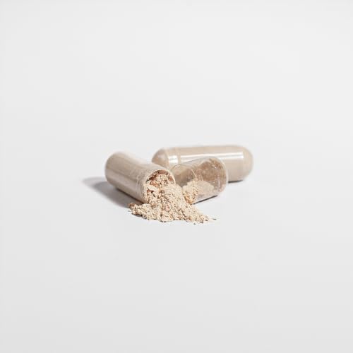 natural immune support with reishi