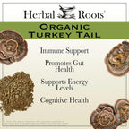 Natural immune support with Turkey Tail