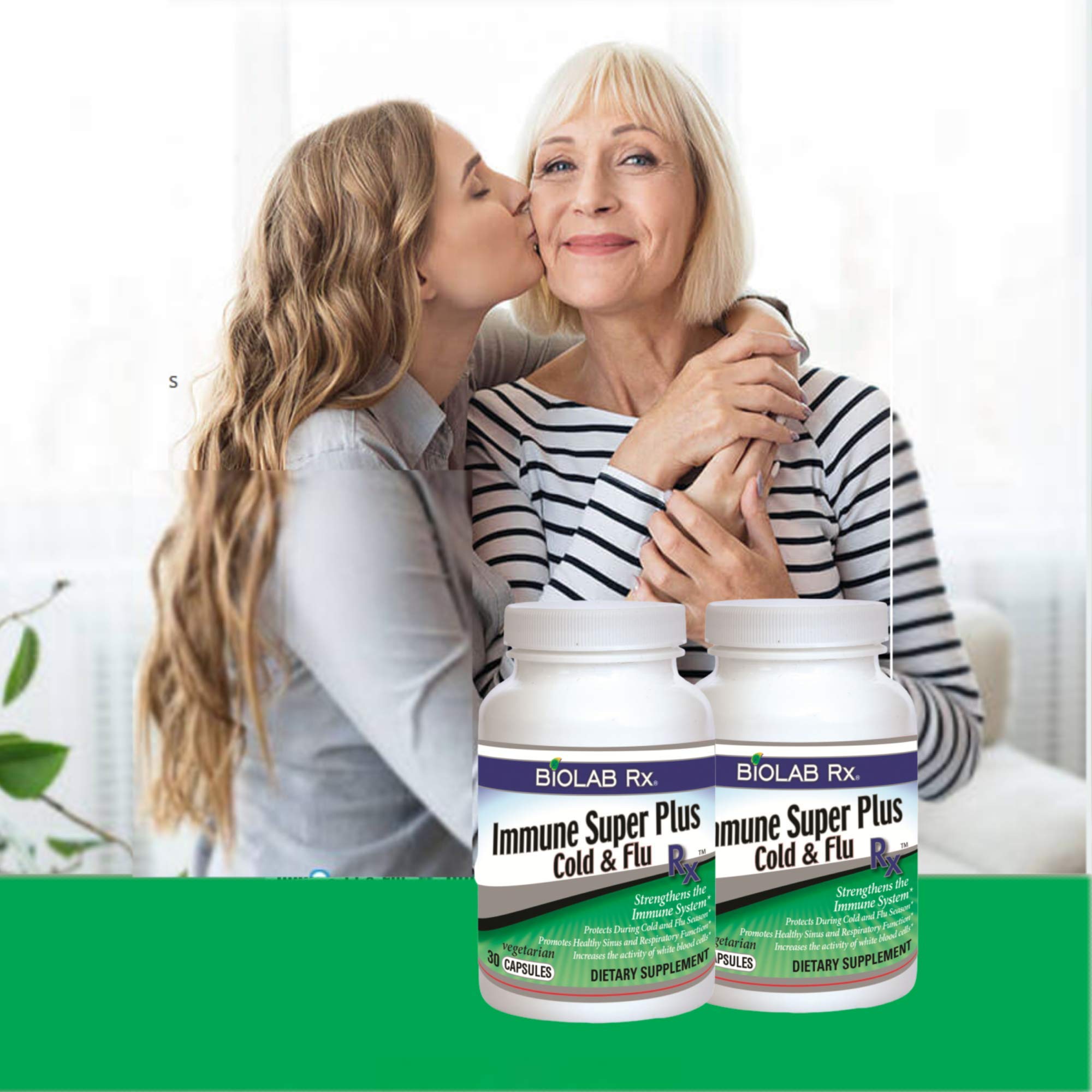 natural immune system booster mushrooms