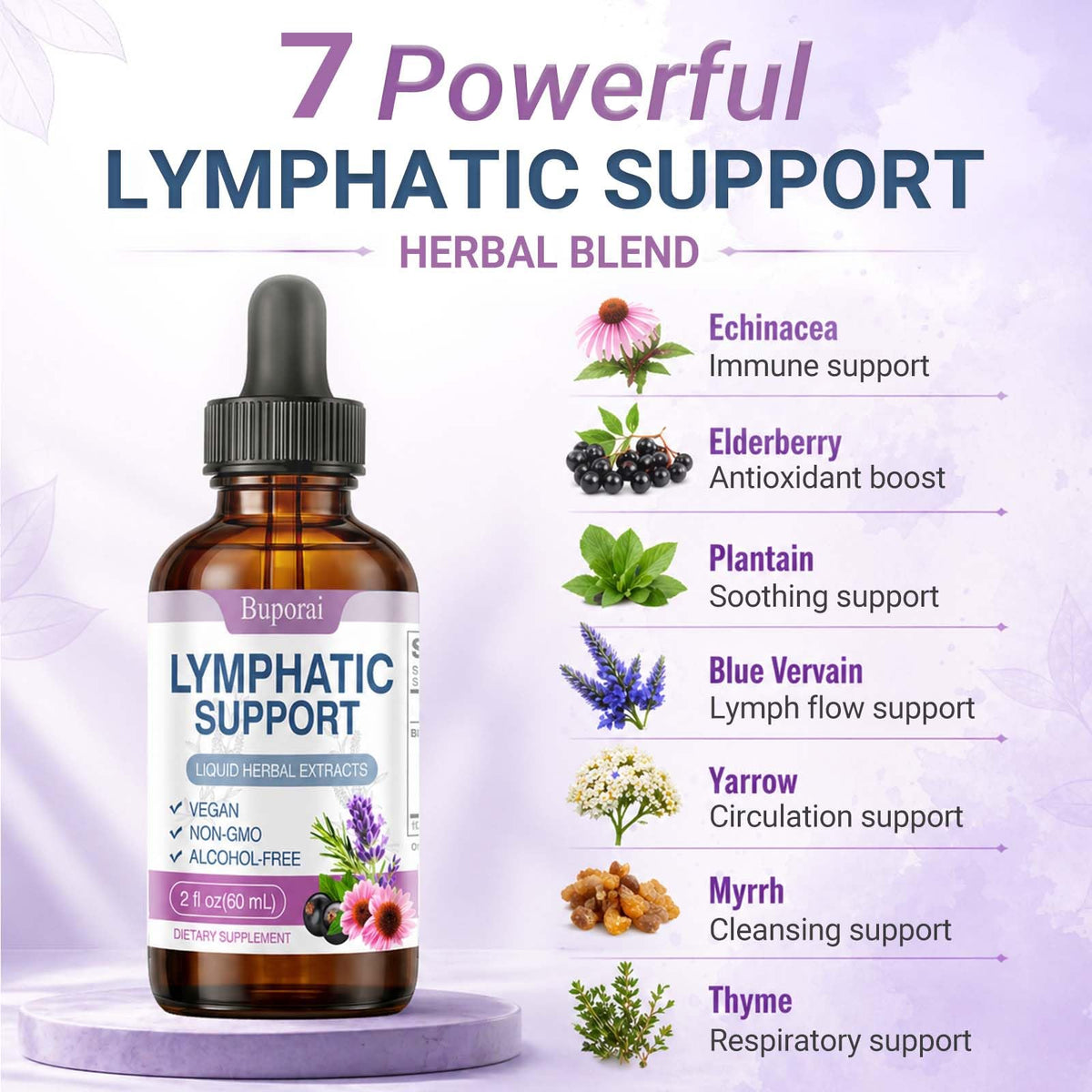natural immune system booster