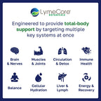 natural immune system enhancement