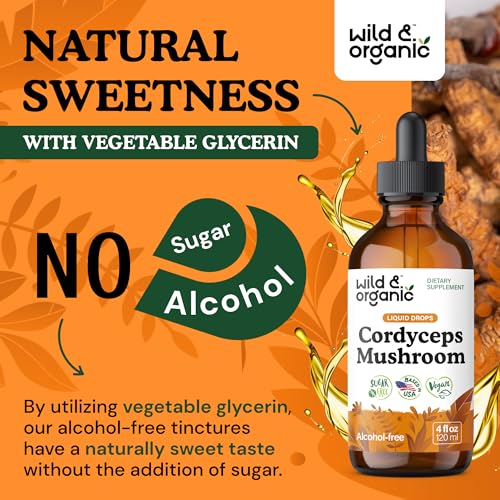 natural immune system support