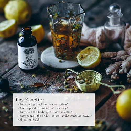 natural immunity booster echinacea