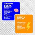 natural immunity support mushroom gummies