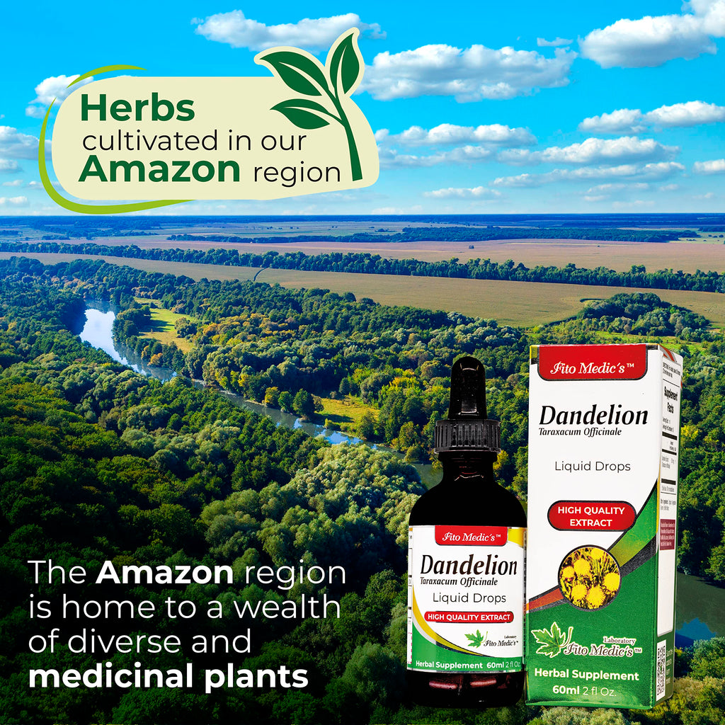 Natural immunity support with dandelion