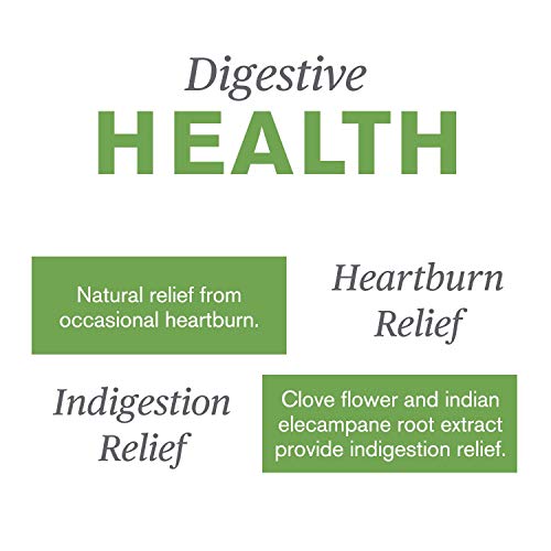 natural indigestion relief supplements