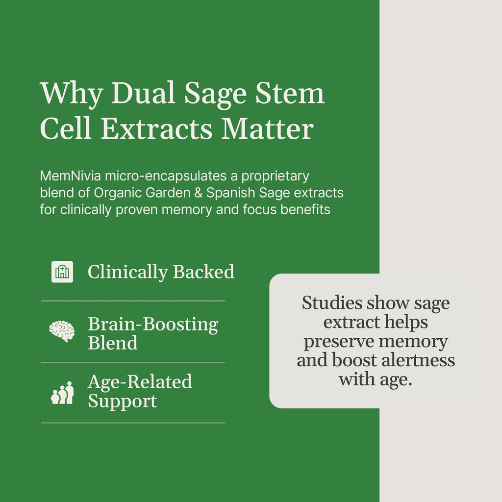 natural ingredients for brain health