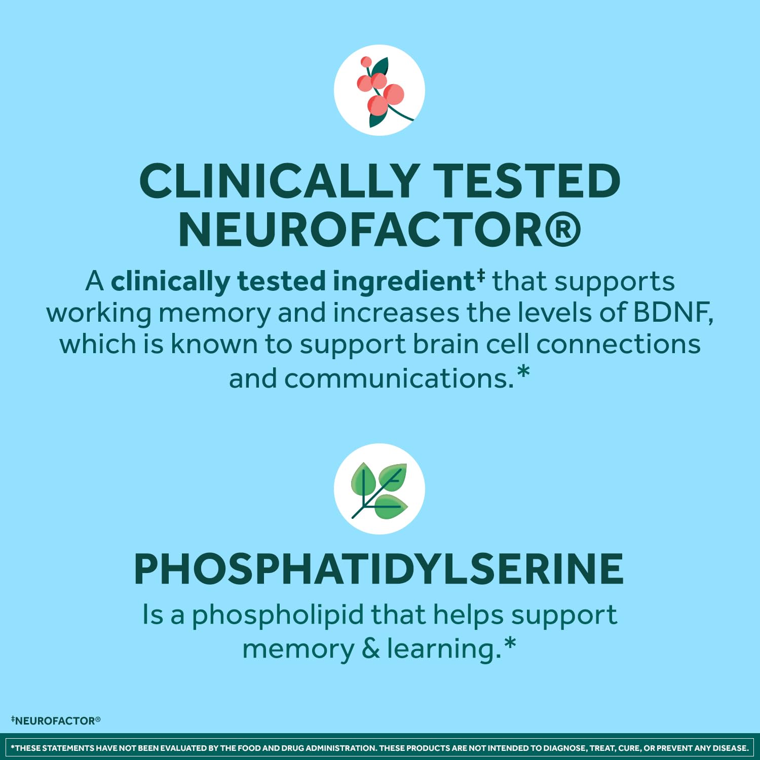 Natural ingredients for brain wellness
