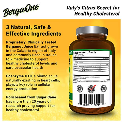 natural ingredients for cholesterol balance