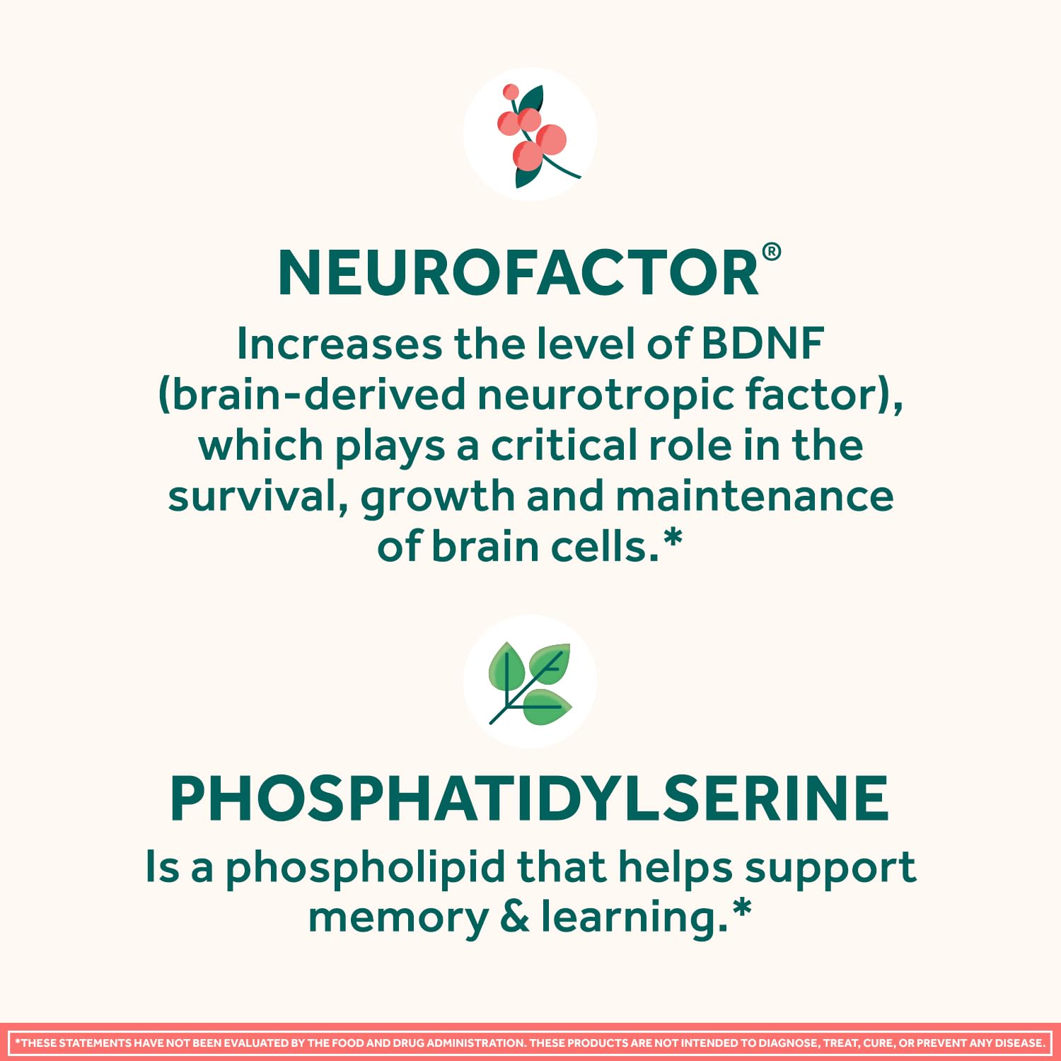 natural ingredients for cognitive support