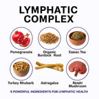 natural ingredients for digestive balance