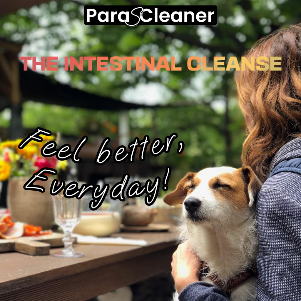 natural ingredients for digestive comfort