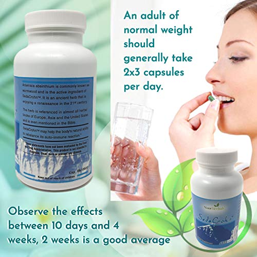 natural ingredients for digestive wellness