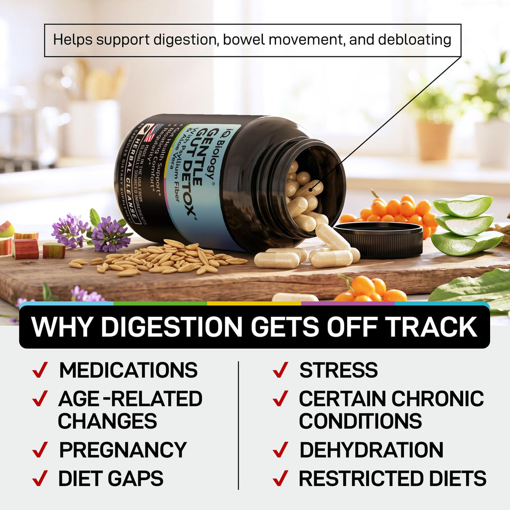 Natural ingredients for gut health