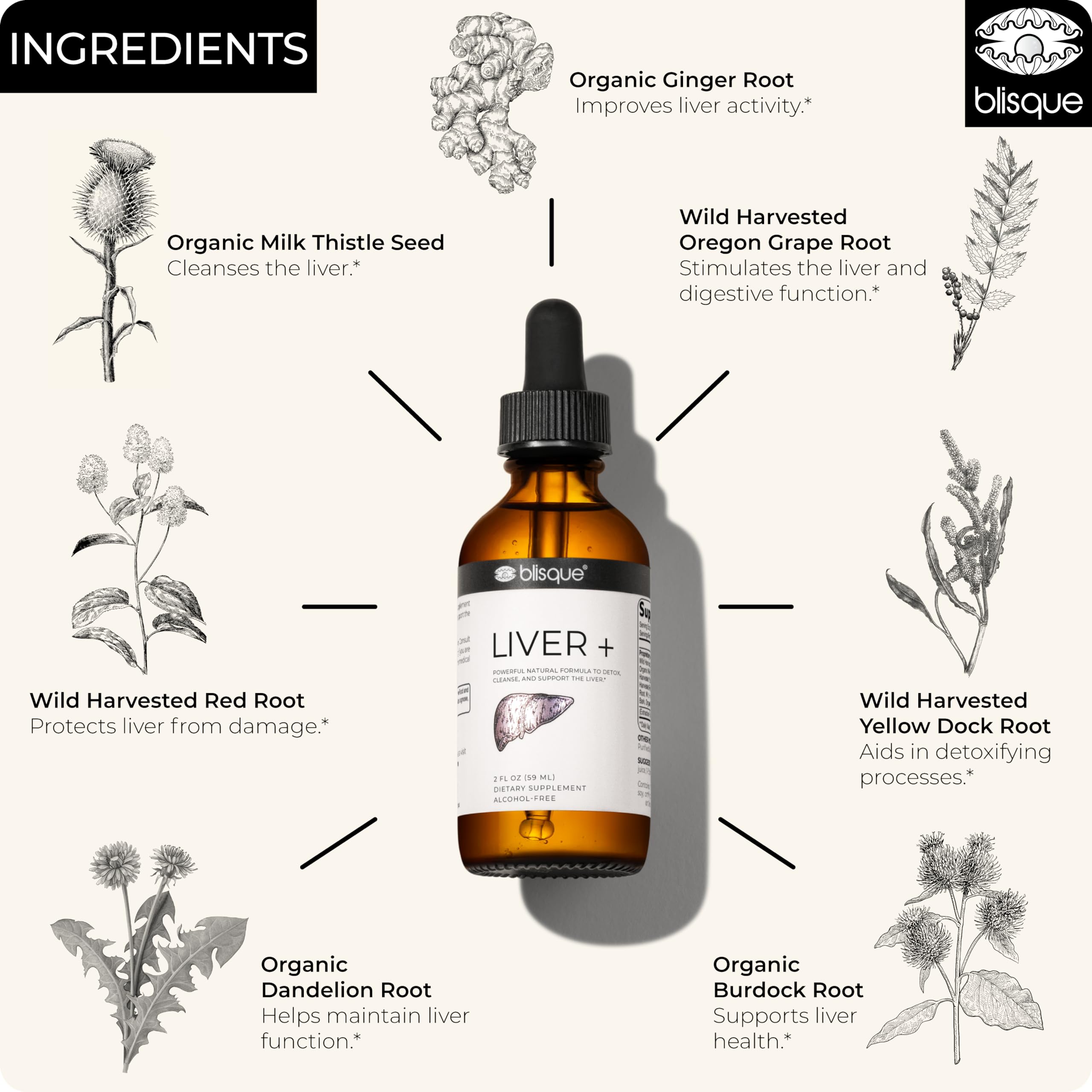 Natural ingredients for liver wellness
