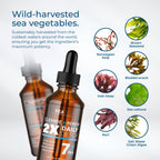 Natural ingredients for wellness support
